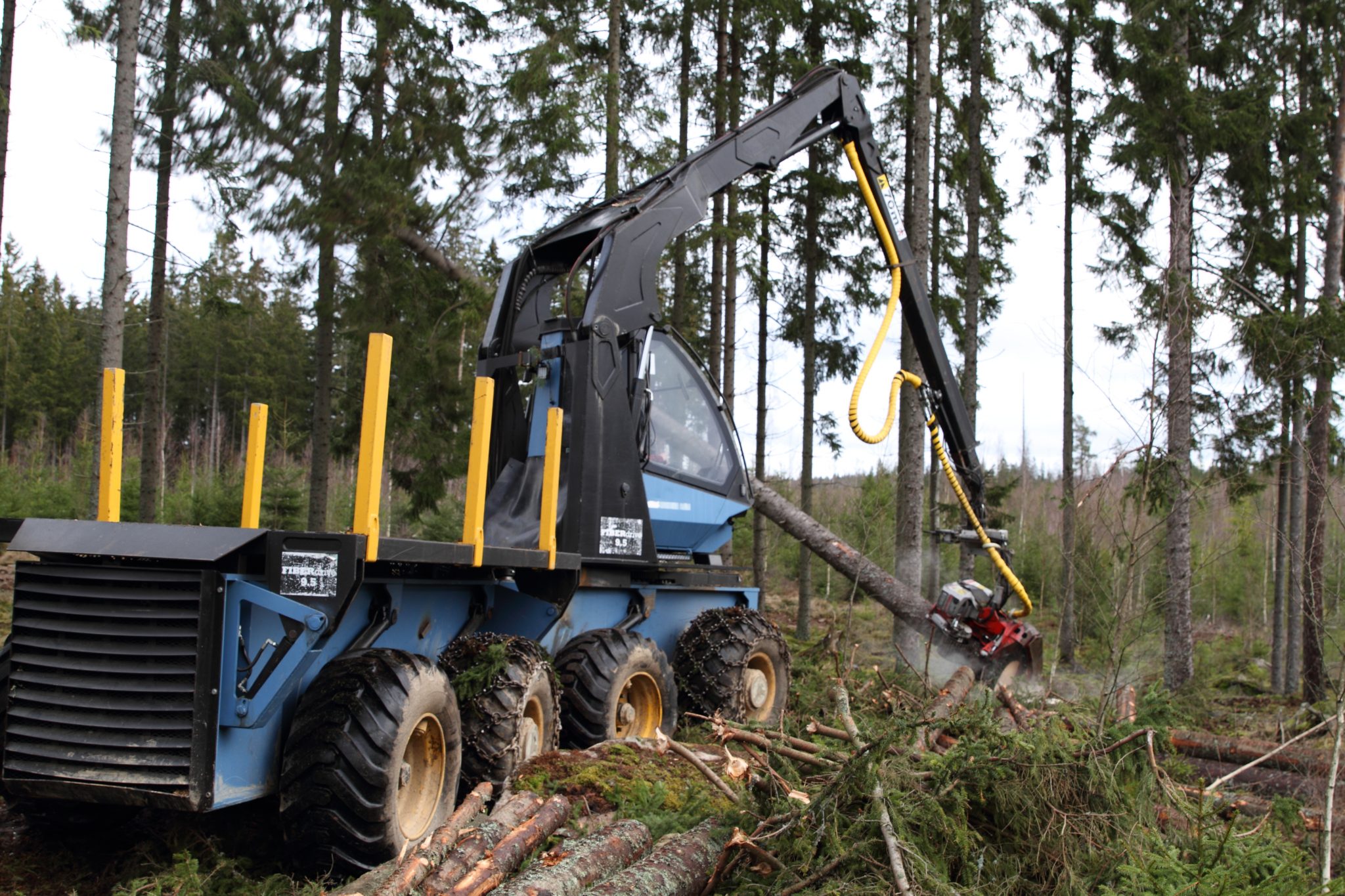 Christer Lennartsson has done it again! - NordicWoodJournal