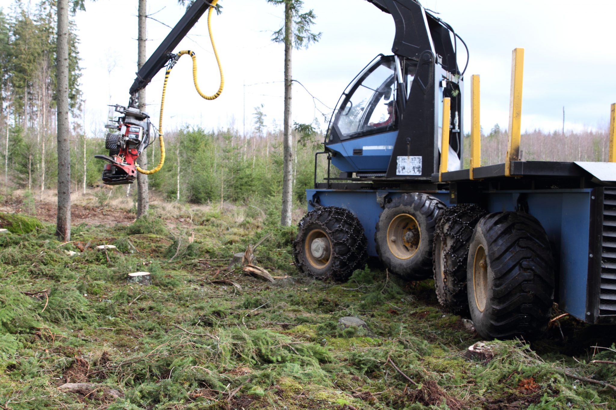 Christer Lennartsson has done it again! - NordicWoodJournal