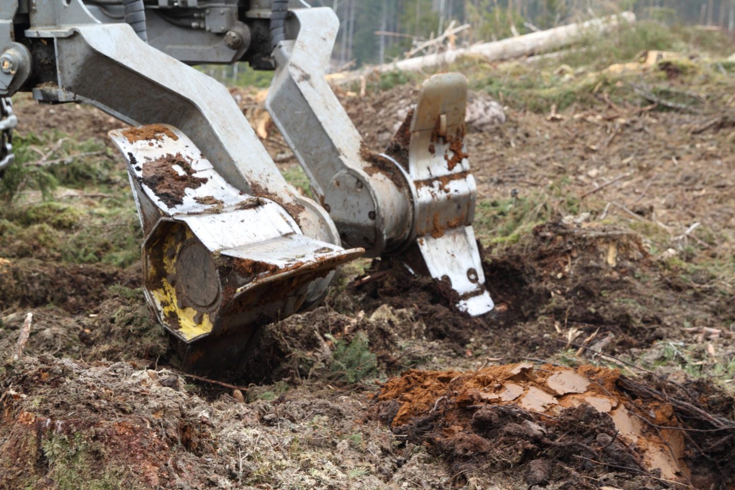 Swedish forestry # 3 – Reforestation - NordicWoodJournal