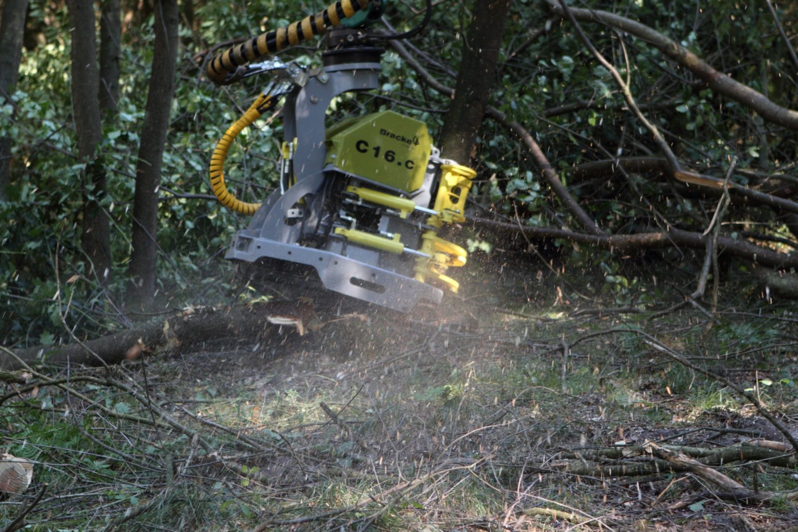 Swedish forestry # 4 – Pre commercial thinning - NordicWoodJournal