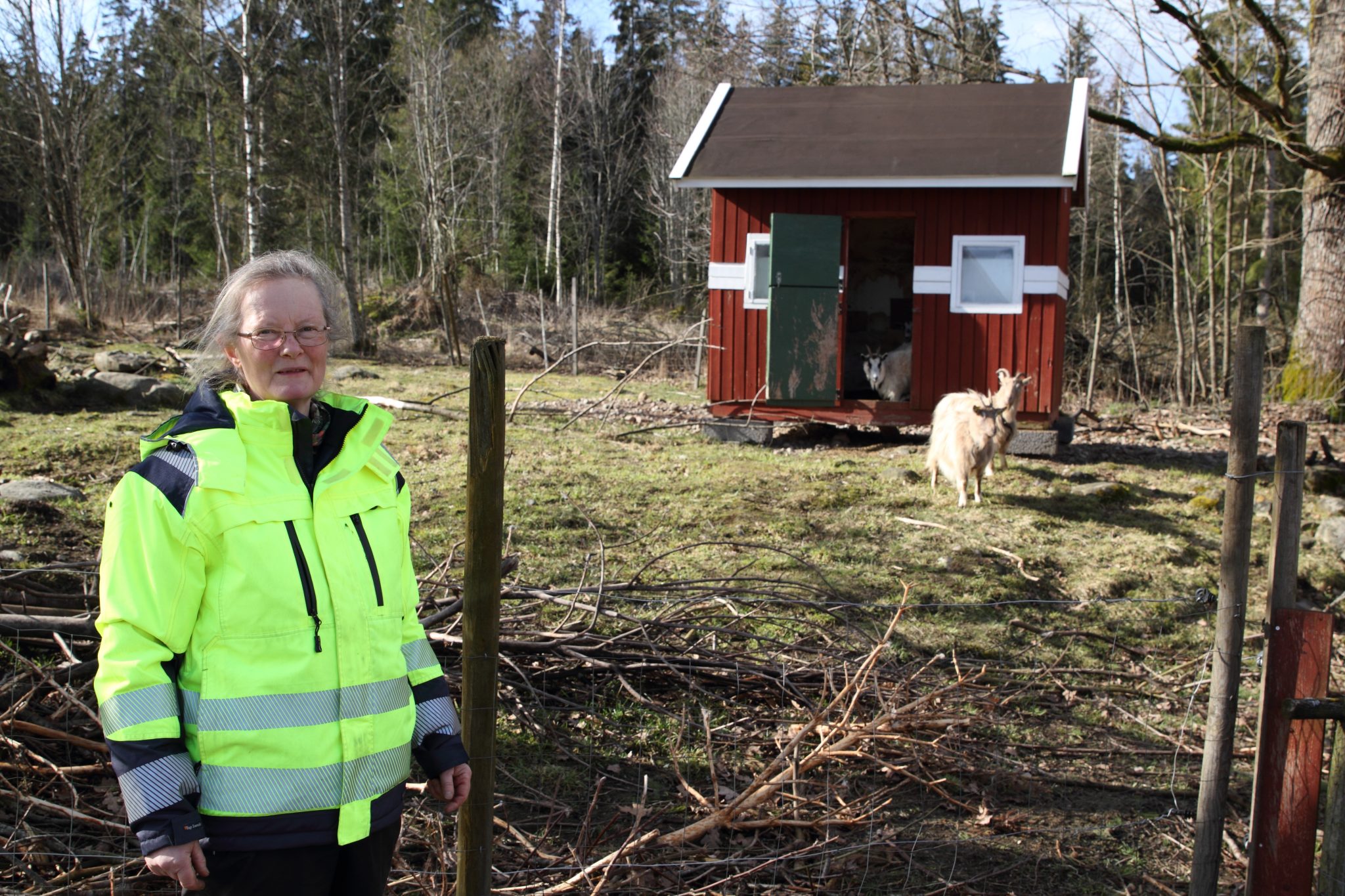Swedish Forestry #5 – Who owns the Swedish forest? - NordicWoodJournal