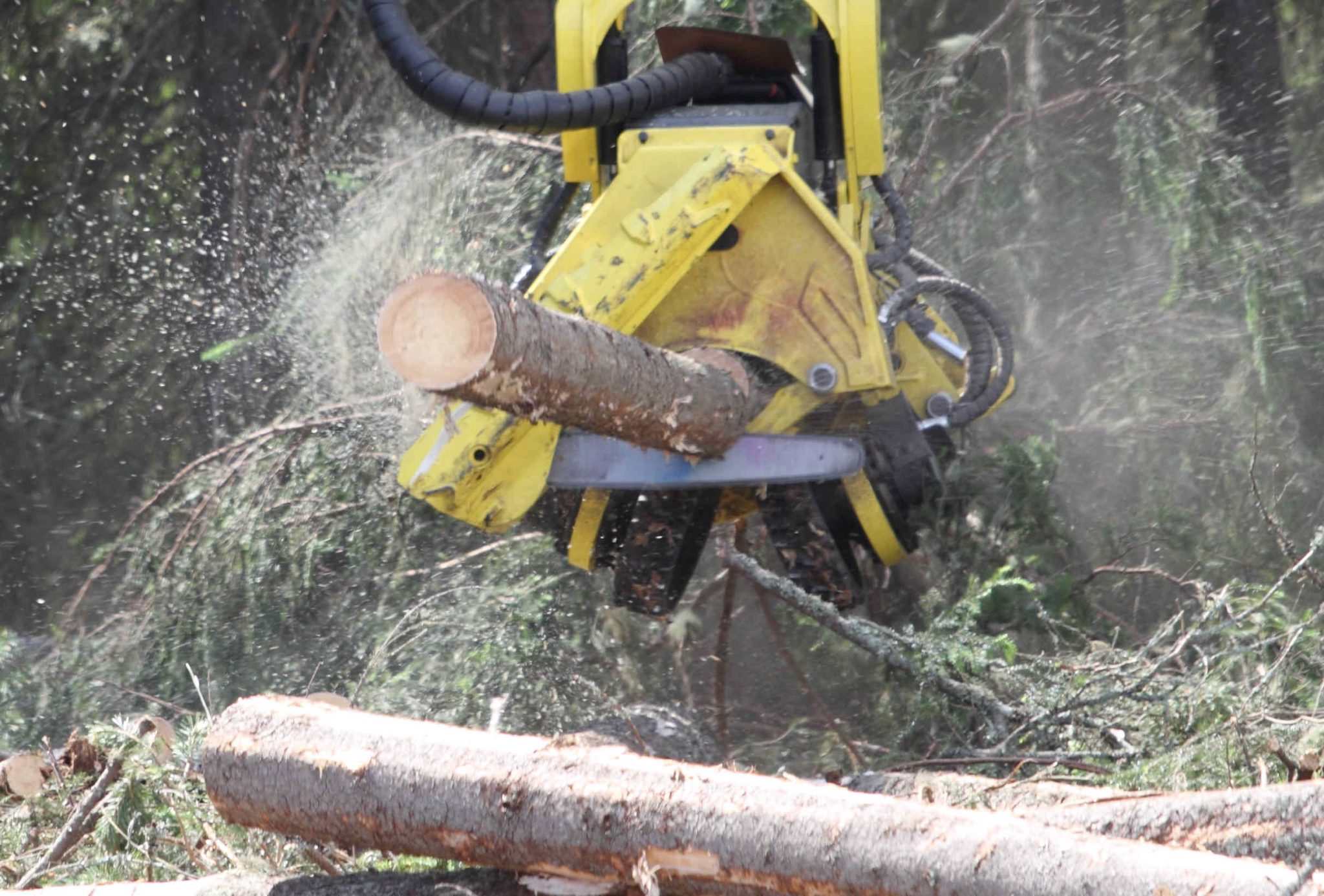 Swedish Forestry #6 – Bucking and measuring - NordicWoodJournal