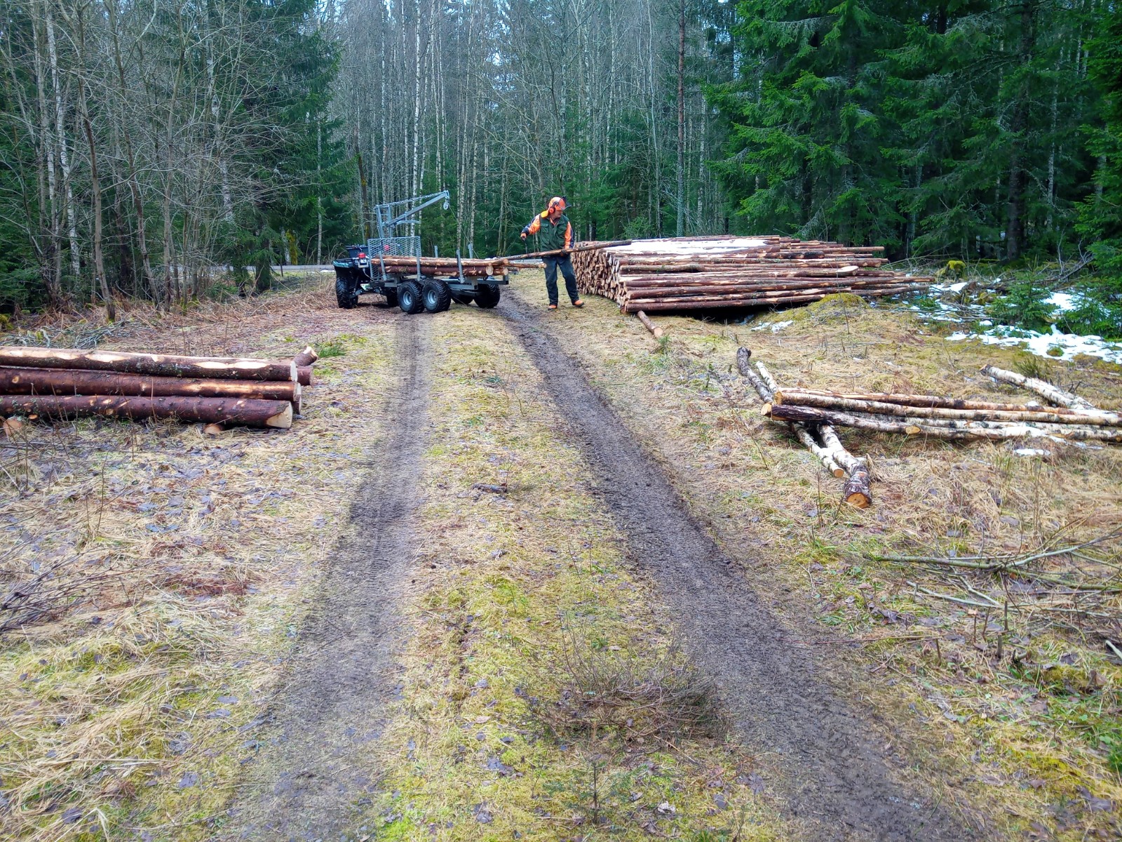 Swedish Forestry #5 – Who owns the Swedish forest? - NordicWoodJournal