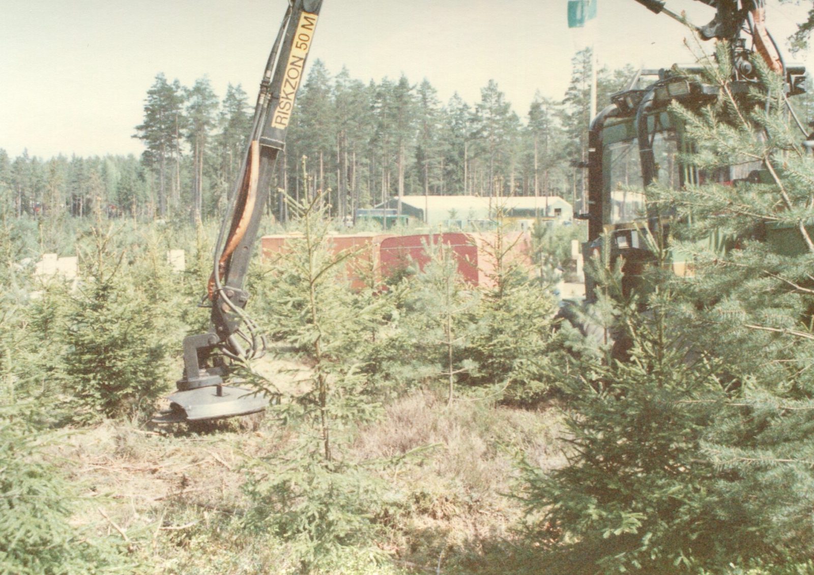 Swedish forestry # 4 – Pre commercial thinning - NordicWoodJournal