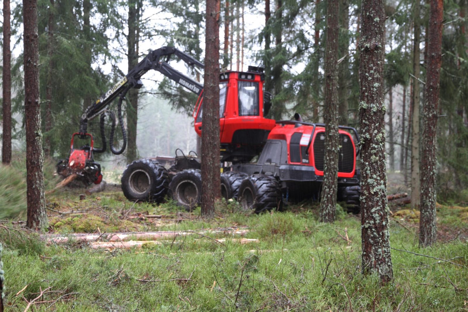 Commercial thinning - Swedish Forestry #7 - NordicWoodJournal