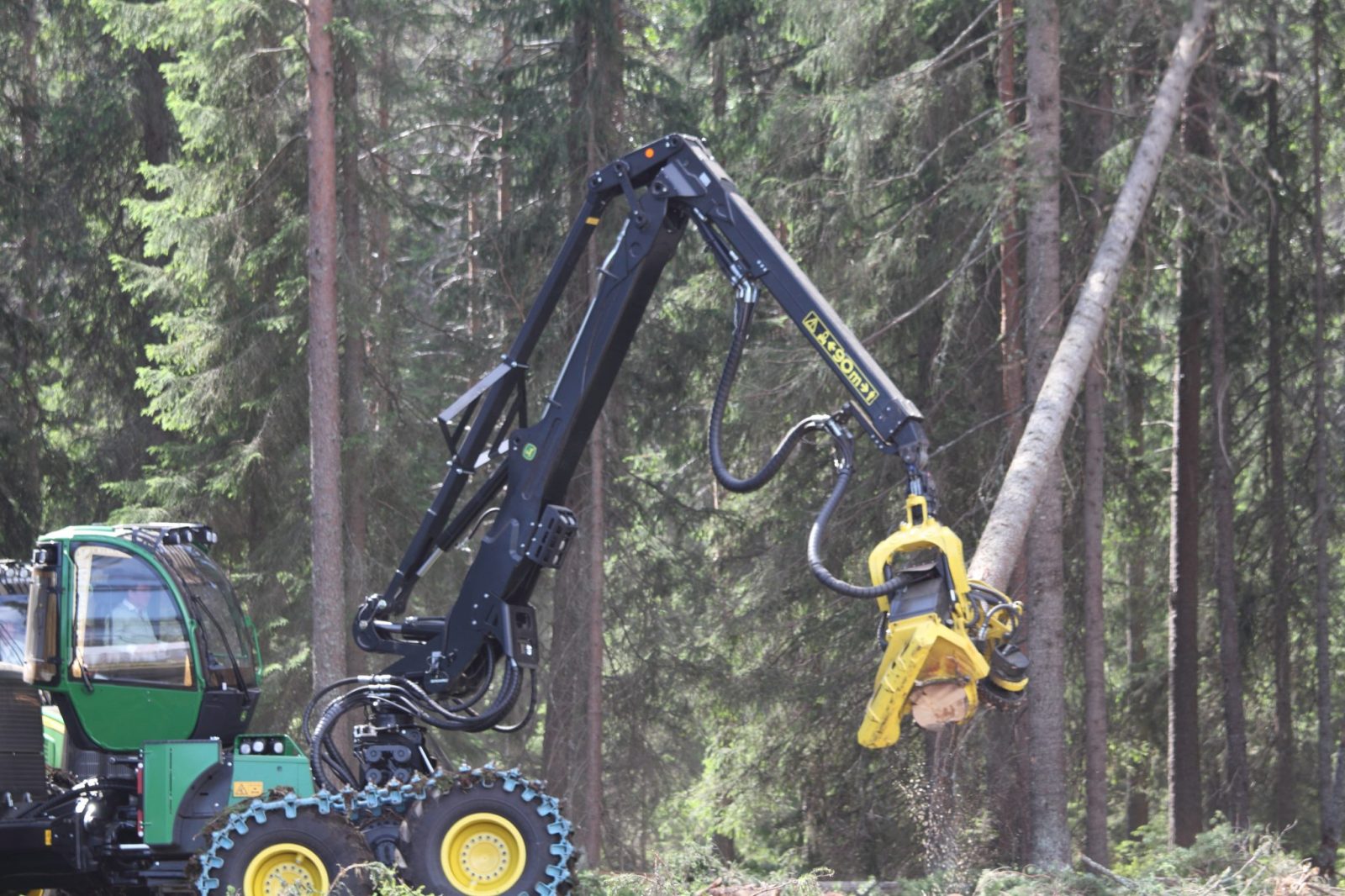 Swedish Forestry #8 – Final felling - NordicWoodJournal