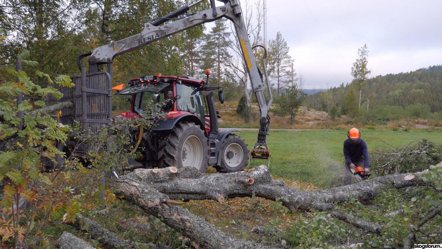 Stihl MS 400 C – Test! - NordicWoodJournal