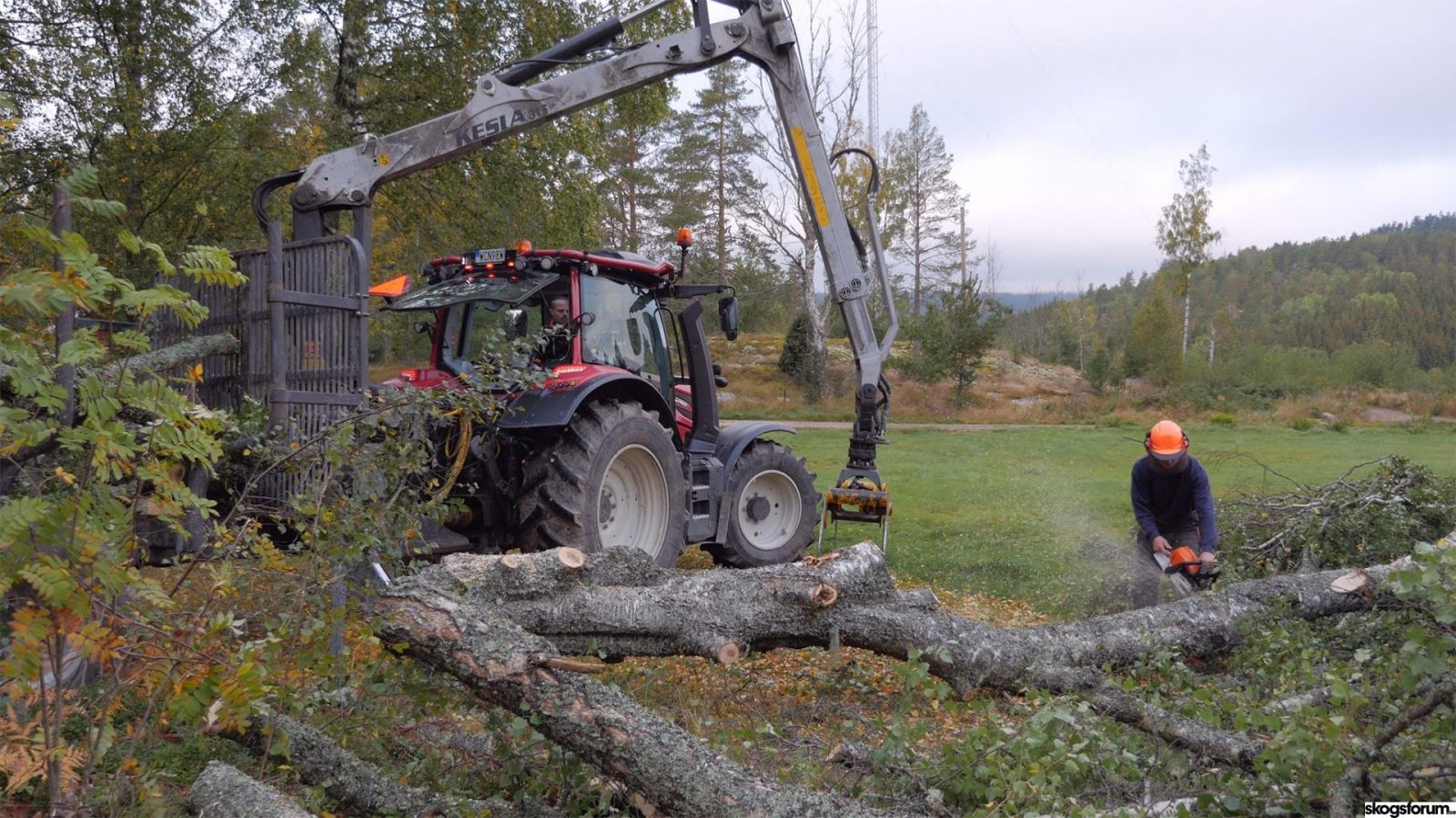 Stihl MS 400 C – Test! - NordicWoodJournal