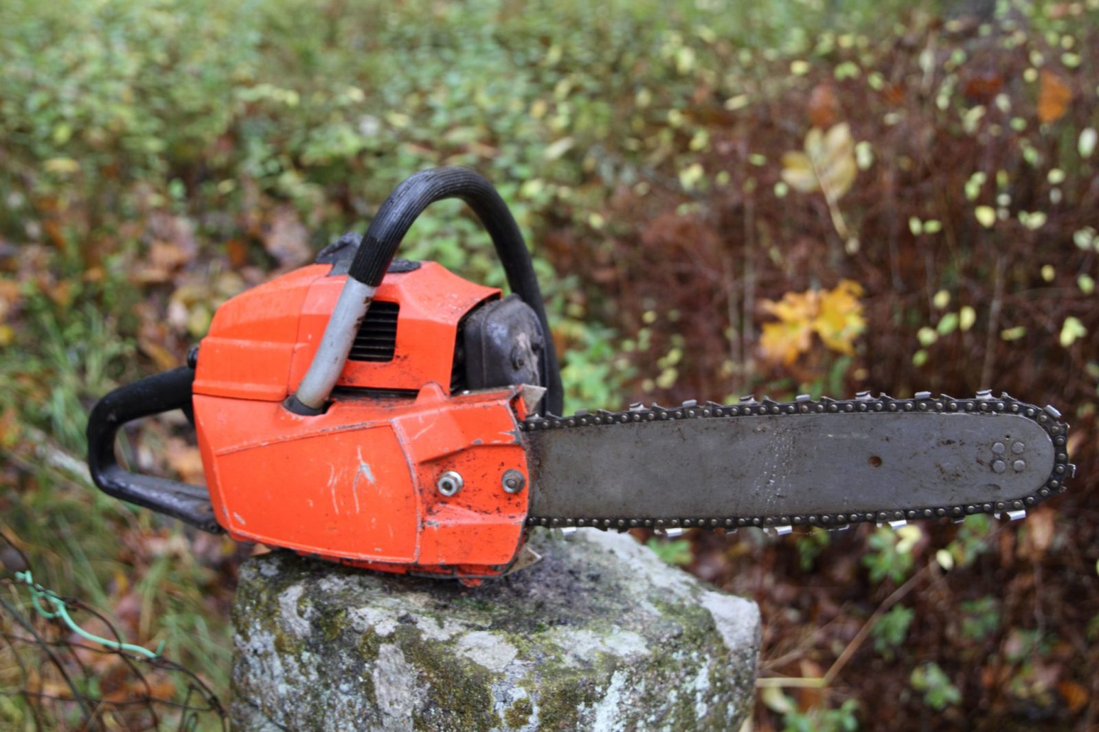 Old chainsaws are like old friends - NordicWoodJournal