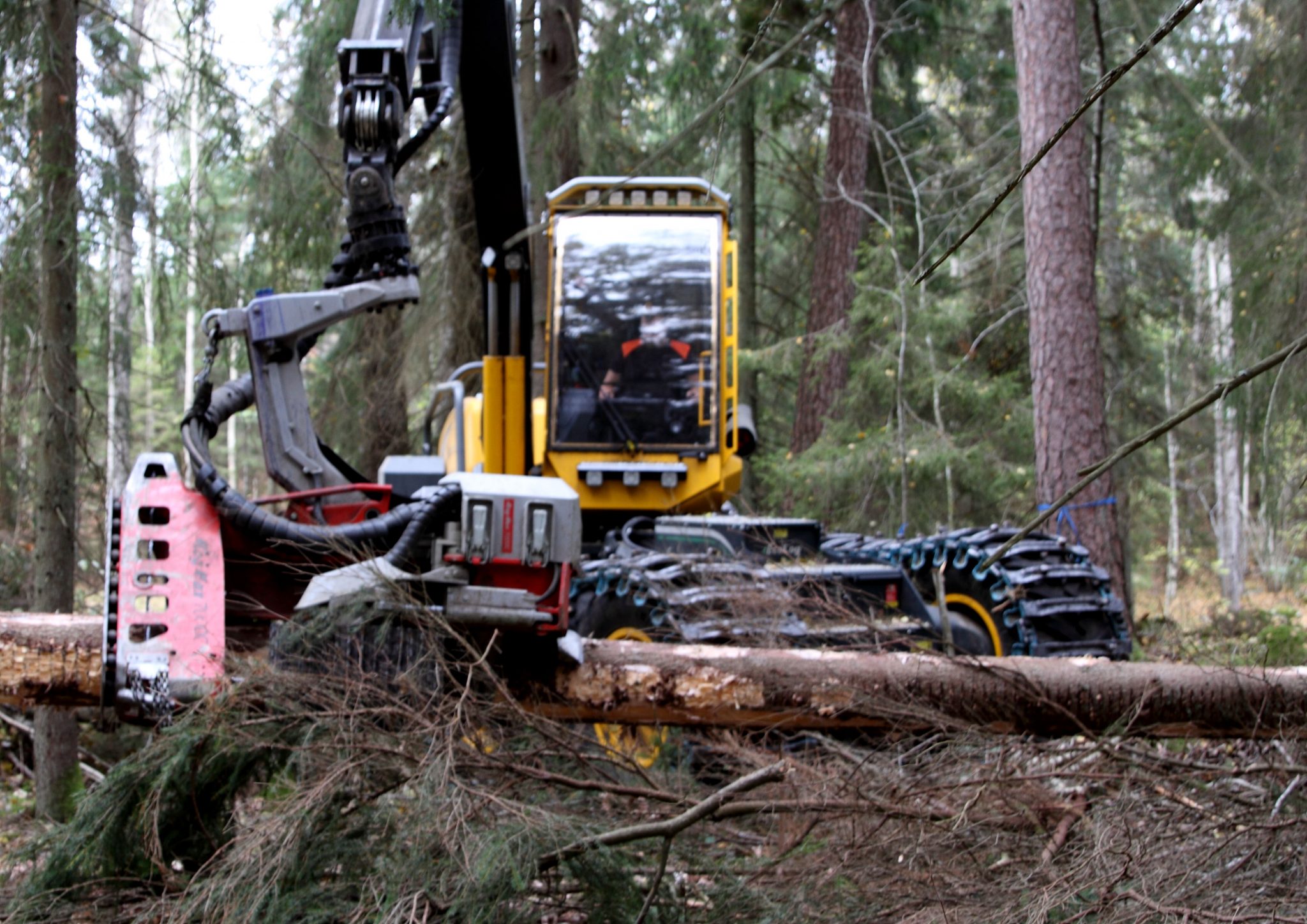 A man and his harvester – EcoLog 590F - NordicWoodJournal