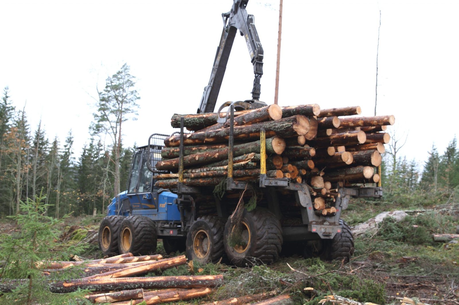 Rottne F20D – the Swedish Beast - NordicWoodJournal
