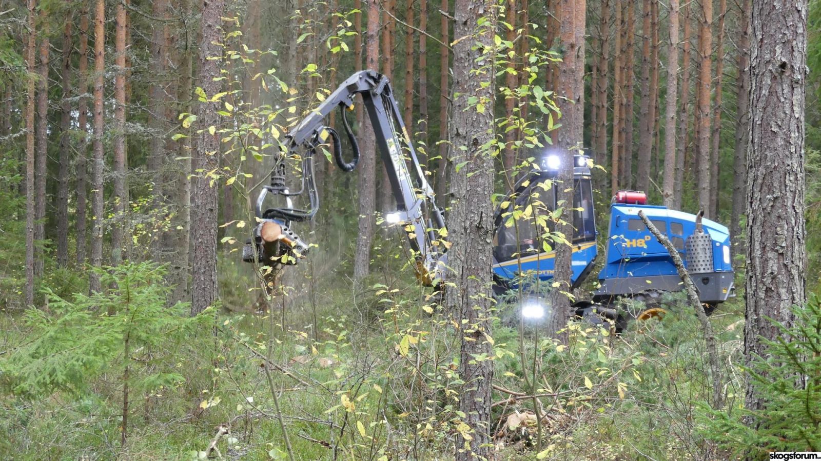 Rottne H8 harvester in second thinning - NordicWoodJournal