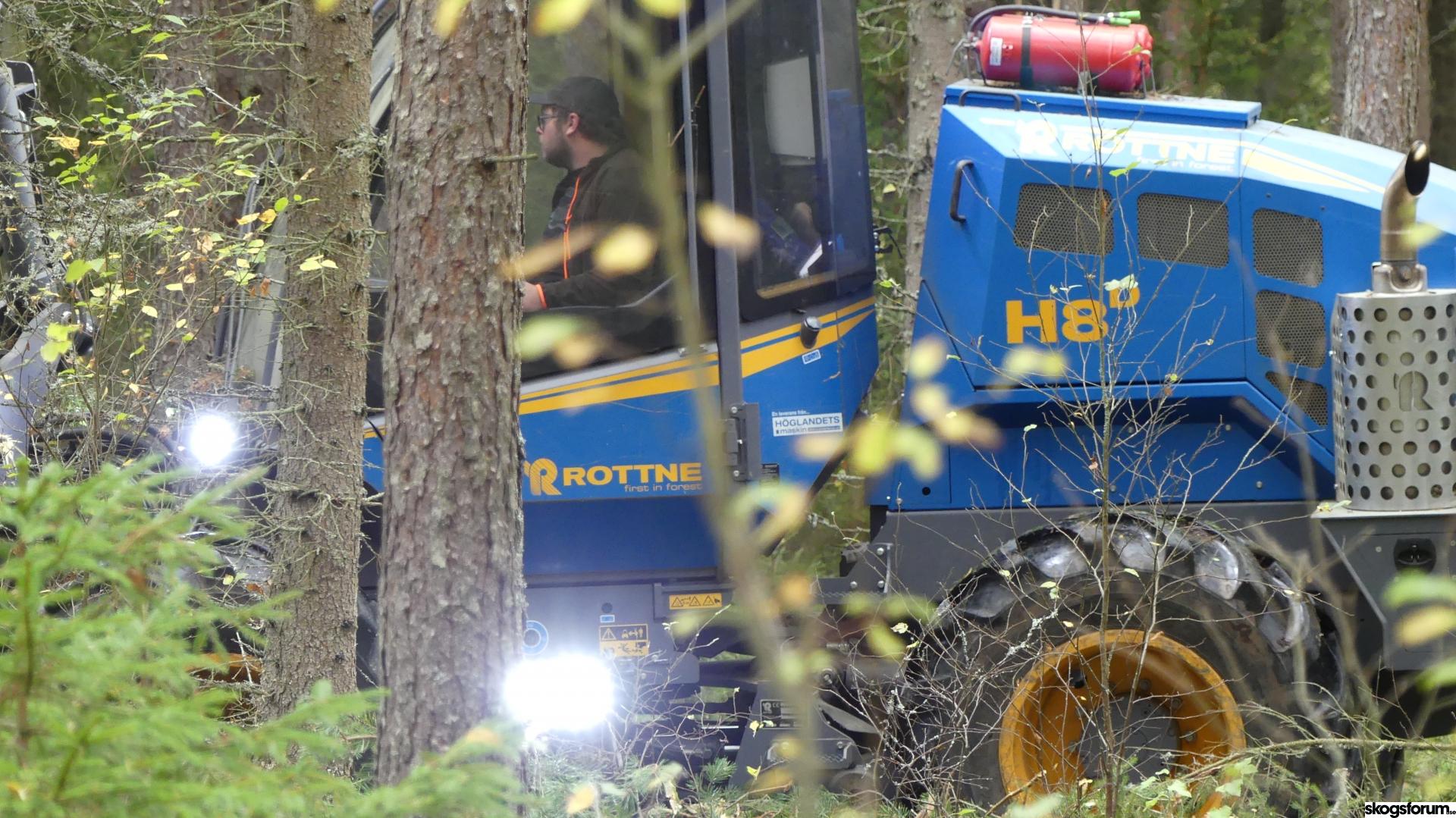 Rottne H8 harvester in second thinning - NordicWoodJournal