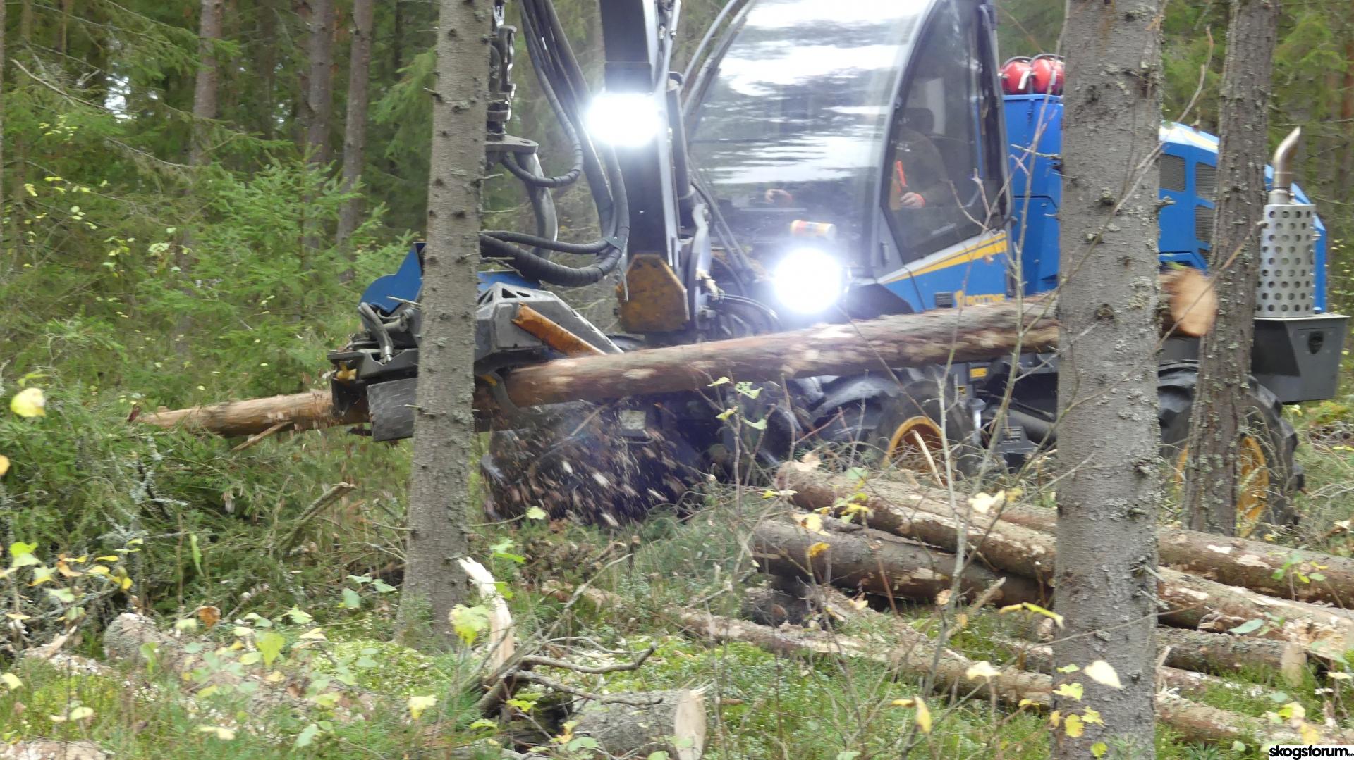 Rottne H8 harvester in second thinning - NordicWoodJournal