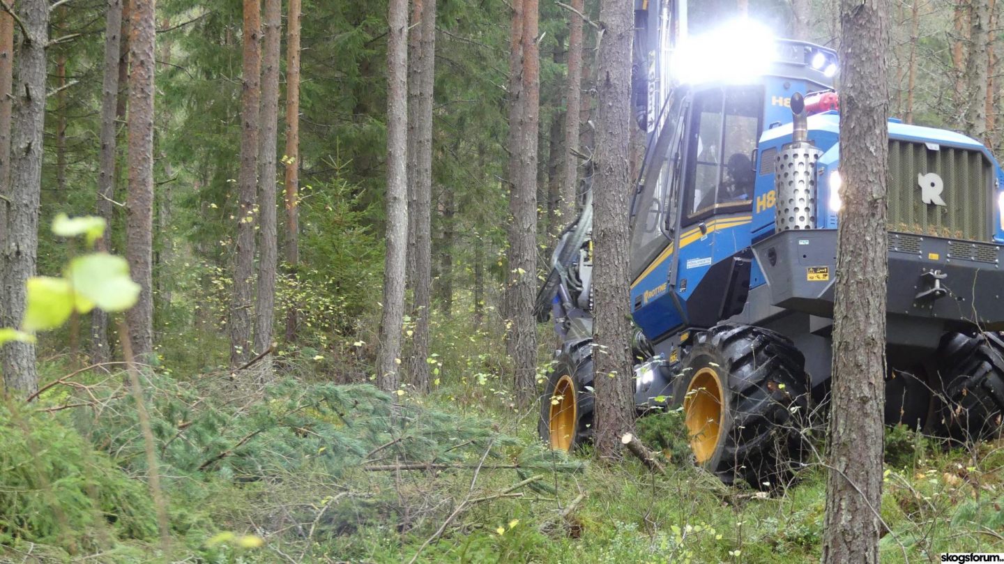 Rottne H8 harvester in second thinning - NordicWoodJournal