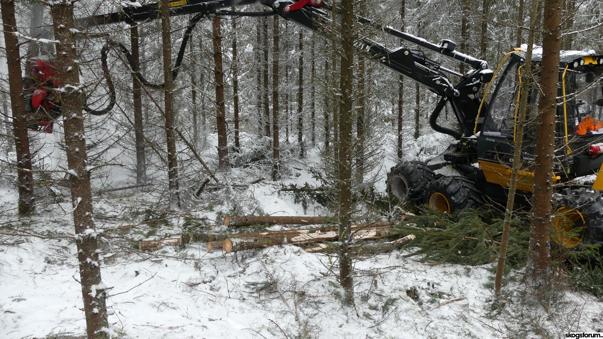 Eco Log 1058 – the first ”yellow Gremo” harvester in action ...