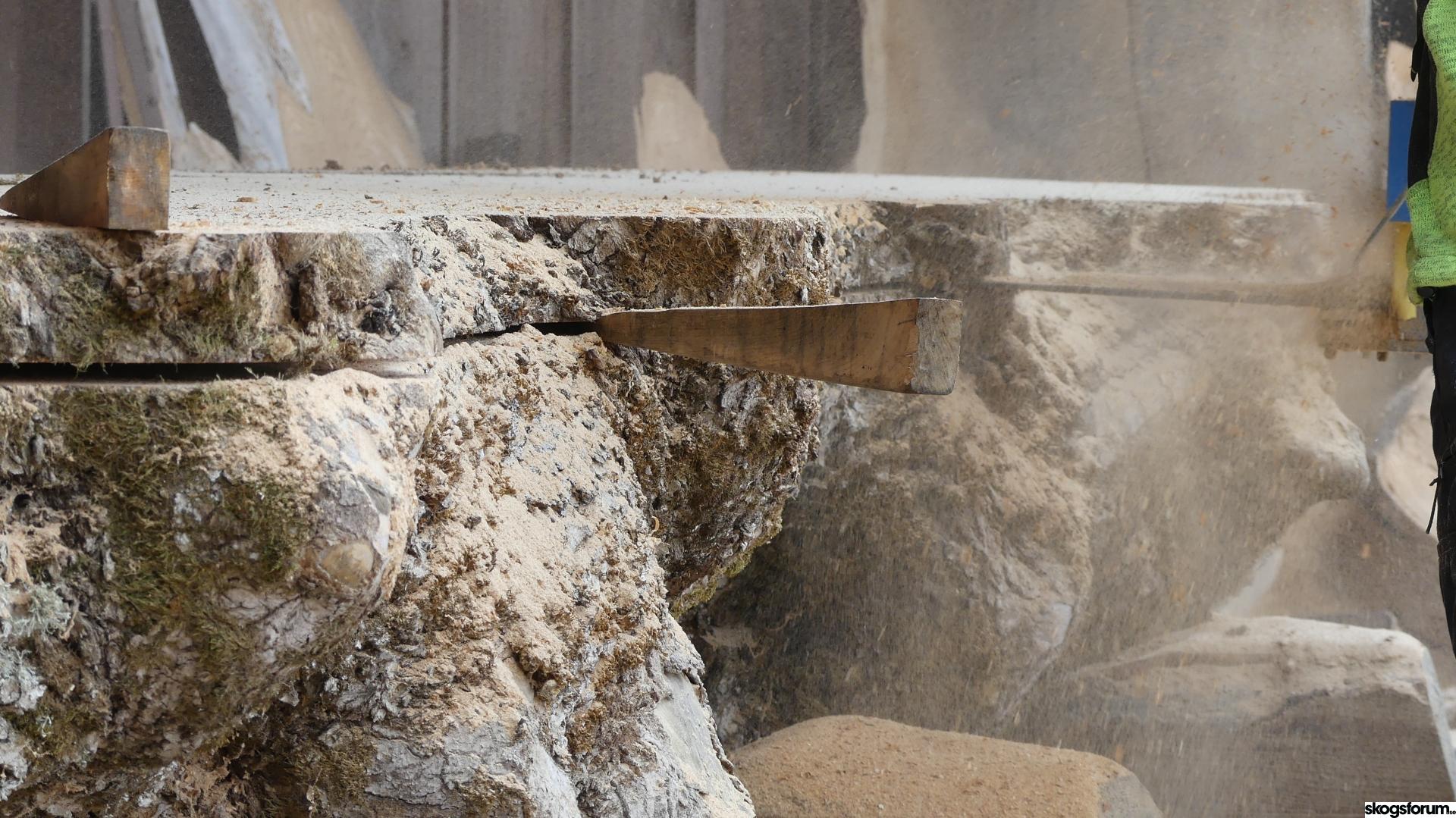 Processing oversized logs with a chainsaw - NordicWoodJournal