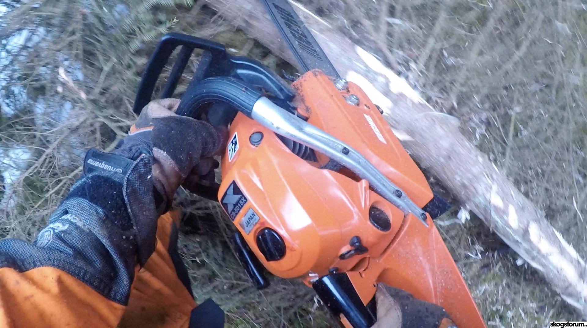 Echo CS 501 SX – a Japanese 50-cc saw - NordicWoodJournal