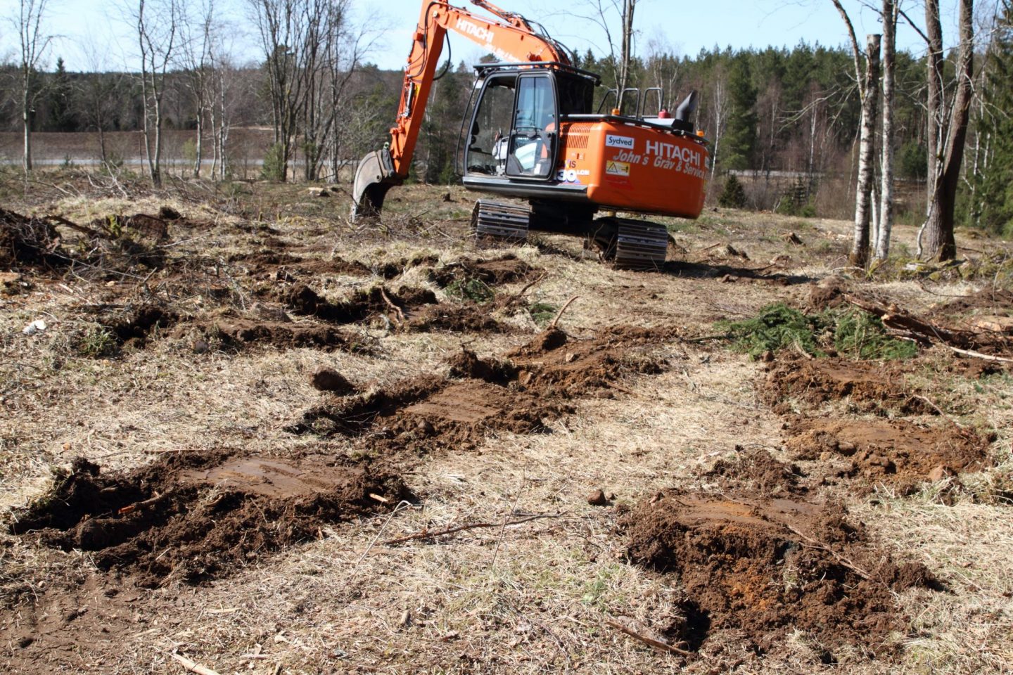 Planting season is here – time to do ground preparation - NordicWoodJournal