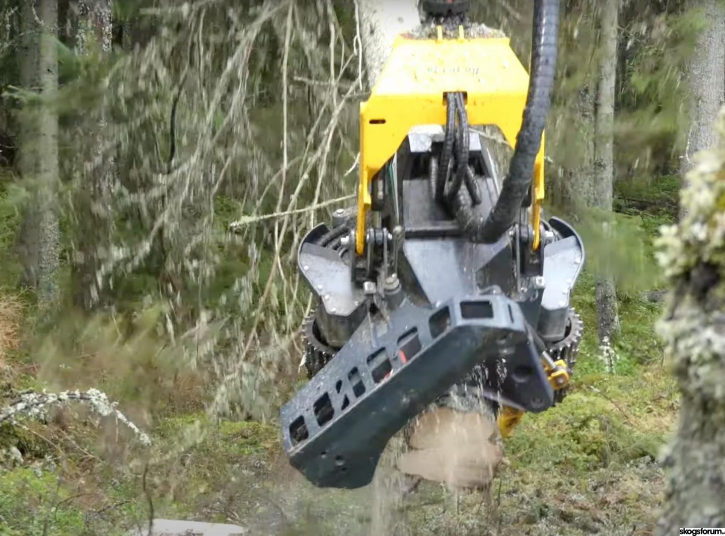 Eco Log launches new harvester head - NordicWoodJournal