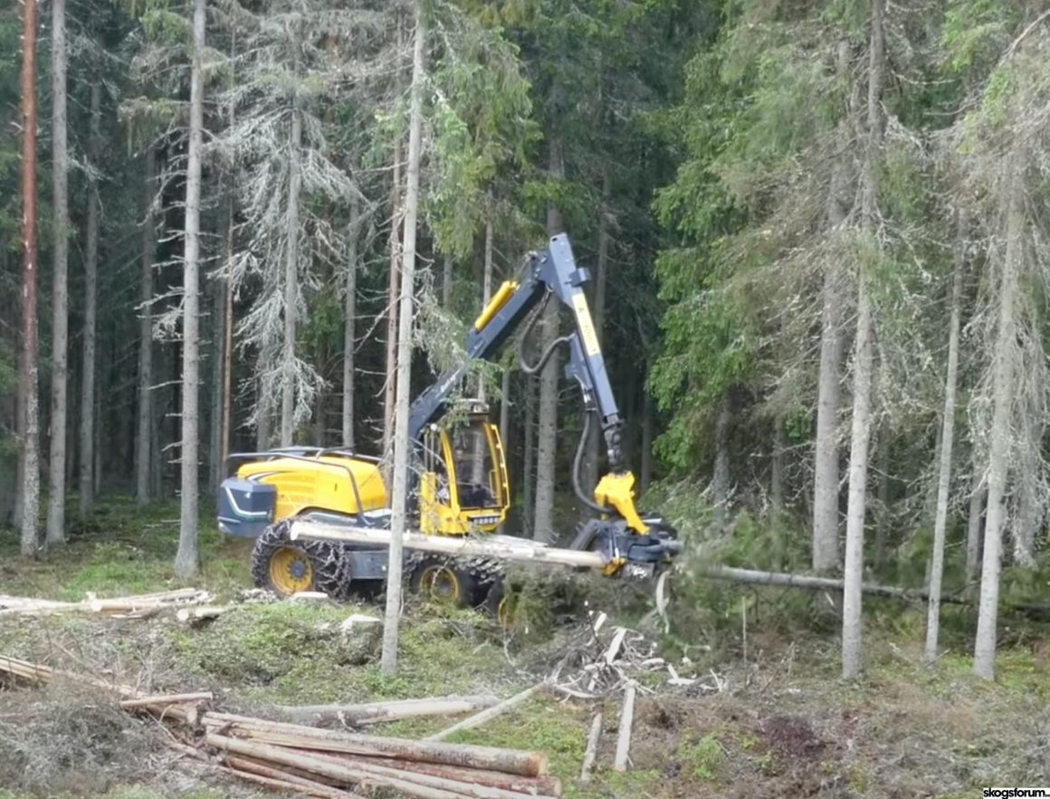 Eco Log launches new harvester head - NordicWoodJournal