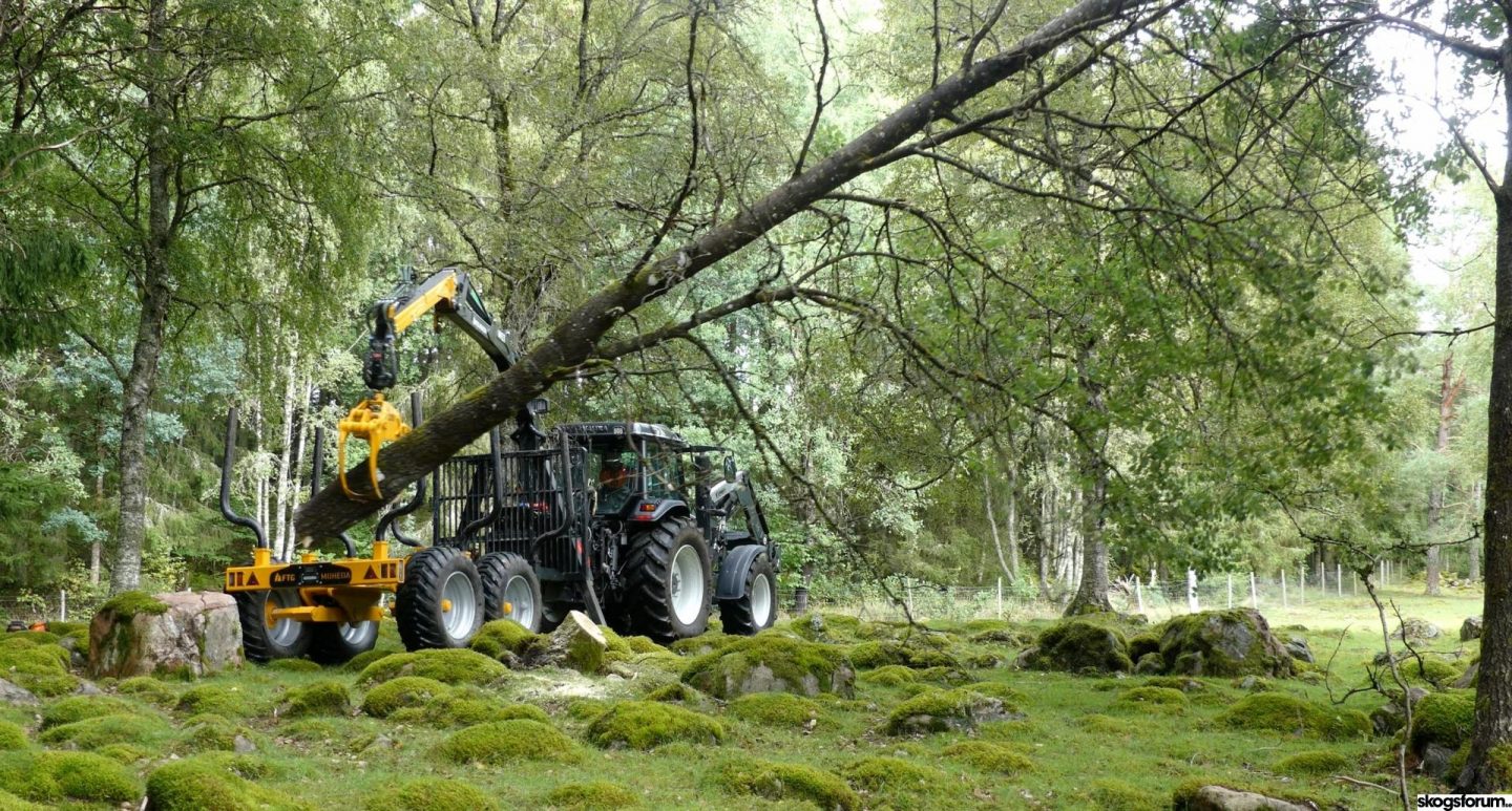 Moheda M41T & M51T – New, longer, grapple loaders from FTG ...