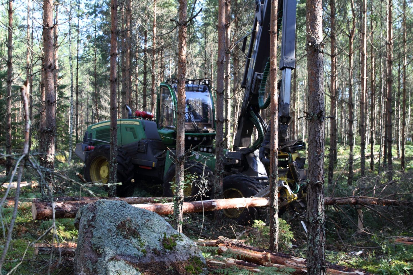 Size matters – a presentation of an extraordinary logging company ...