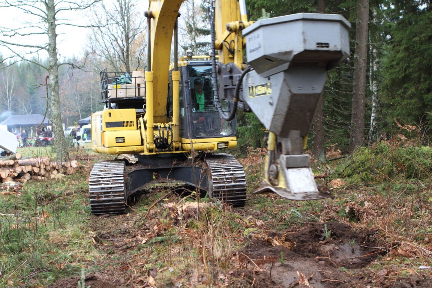 New World record in tree planting - NordicWoodJournal