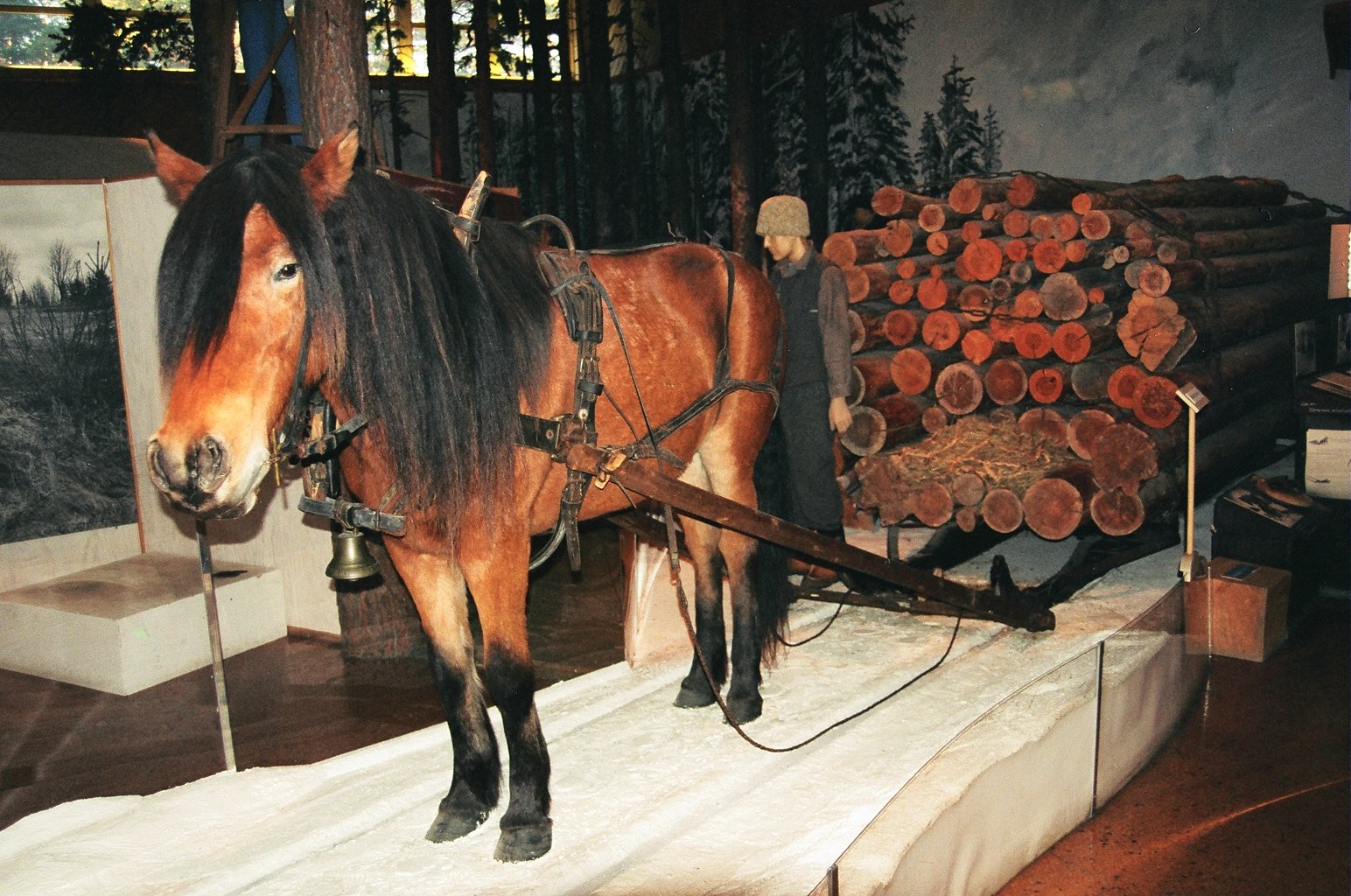 O(l)dd forestry machines - NordicWoodJournal