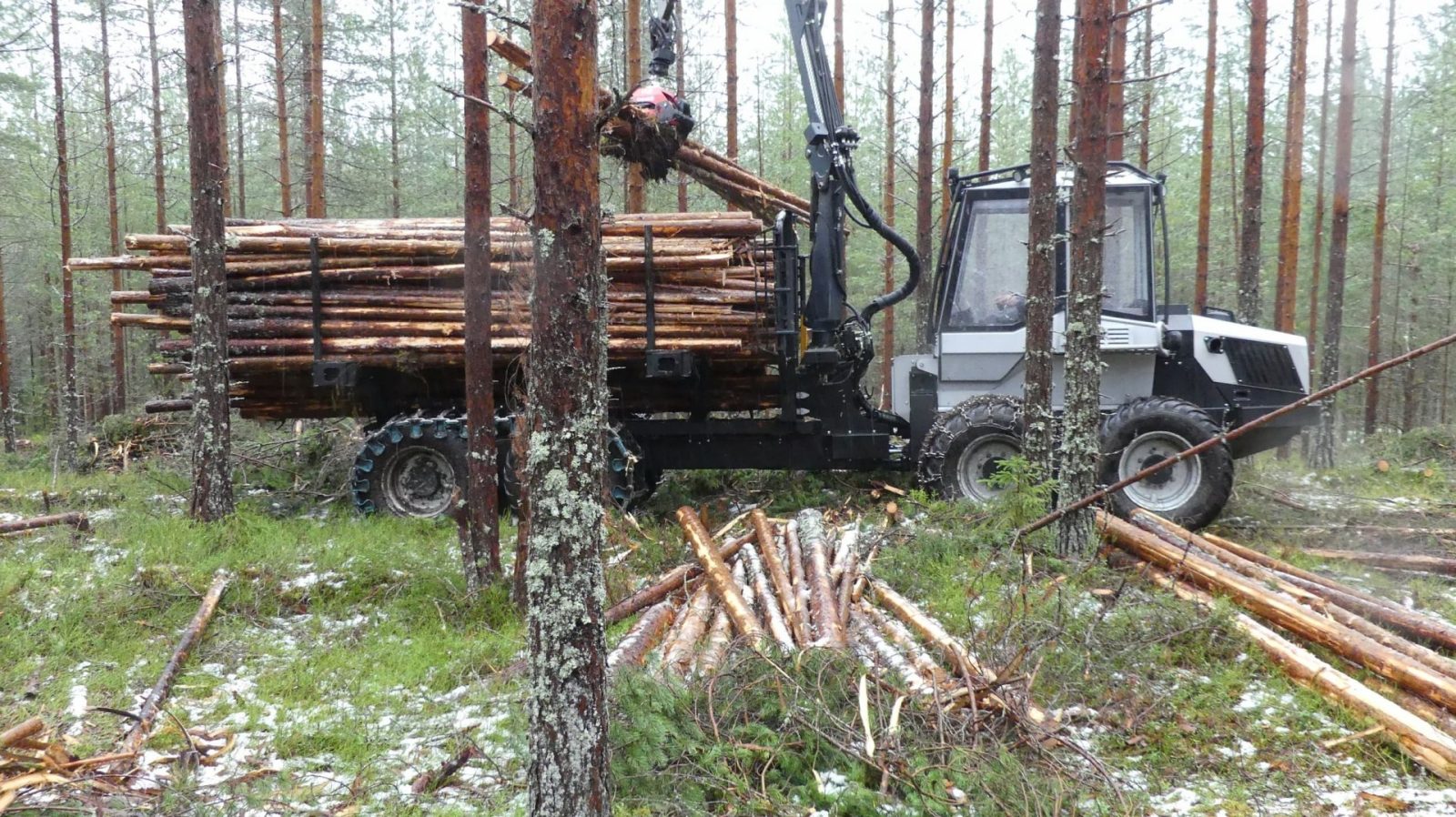 Vimek presents a new forwarder! - NordicWoodJournal