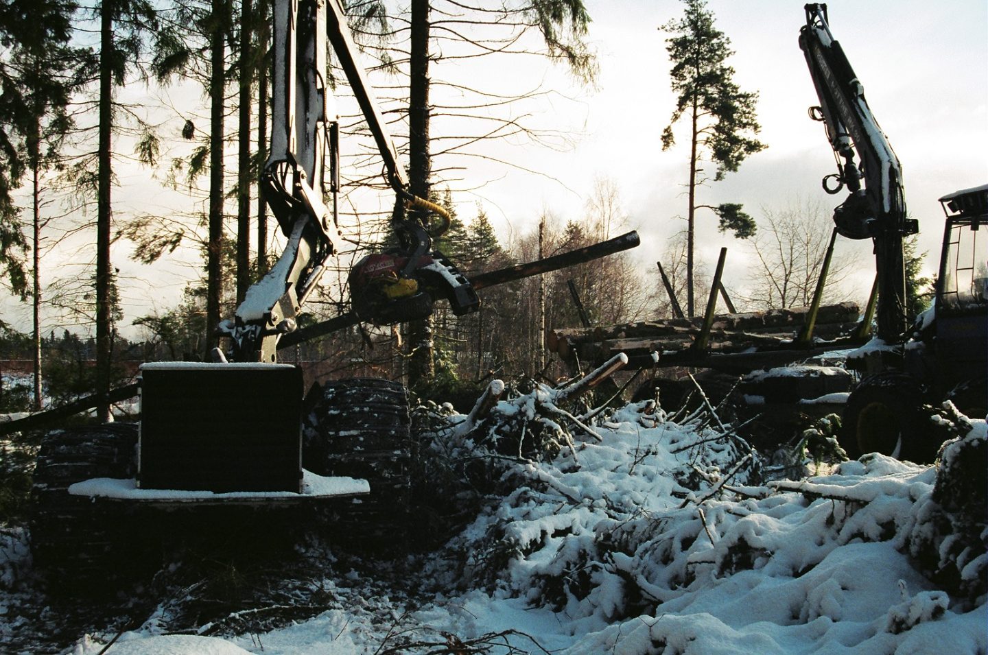 Odd machines that could have been something(?) - NordicWoodJournal
