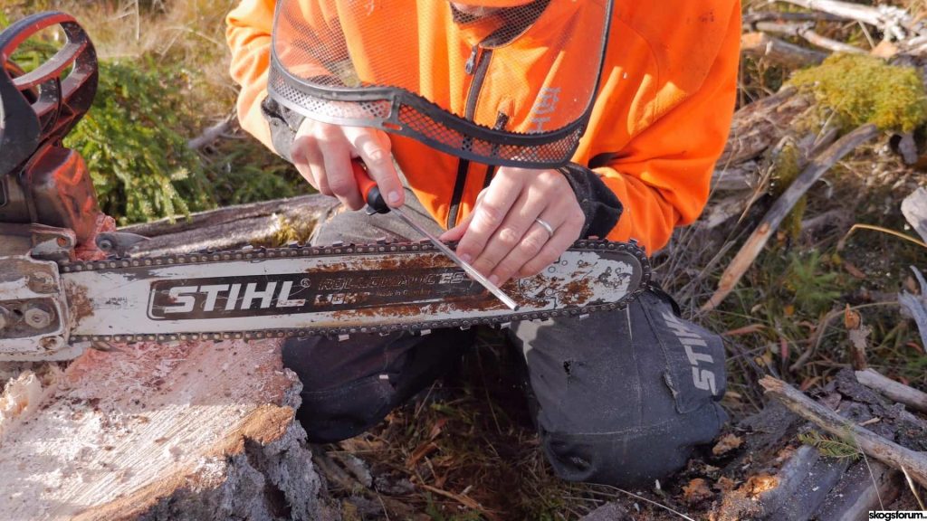 Testing the Rapid Hexa Saw chain by Stihl - NordicWoodJournal