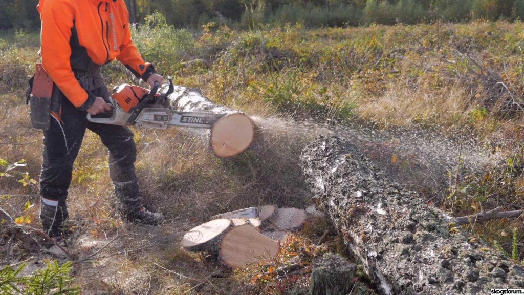 Testing the Rapid Hexa Saw chain by Stihl - NordicWoodJournal