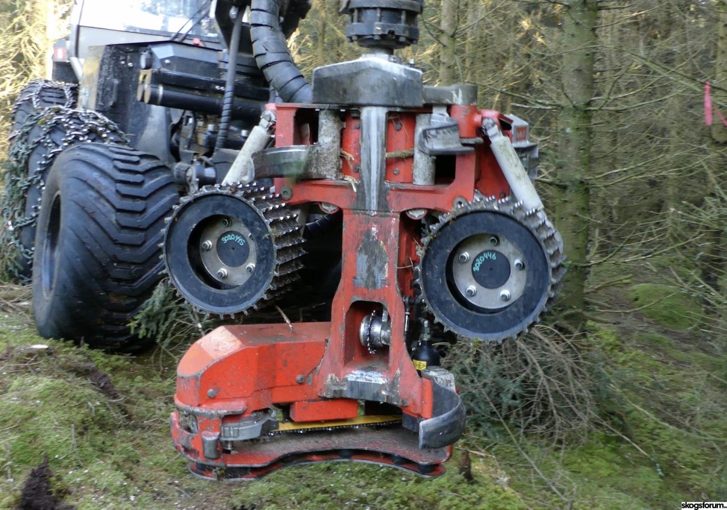 Log Max 2000T – New harvester head for small harvesters - NordicWoodJournal