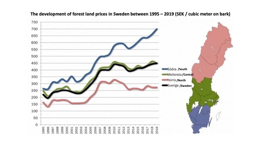 Is the Swedish forest being felled casually? - NordicWoodJournal