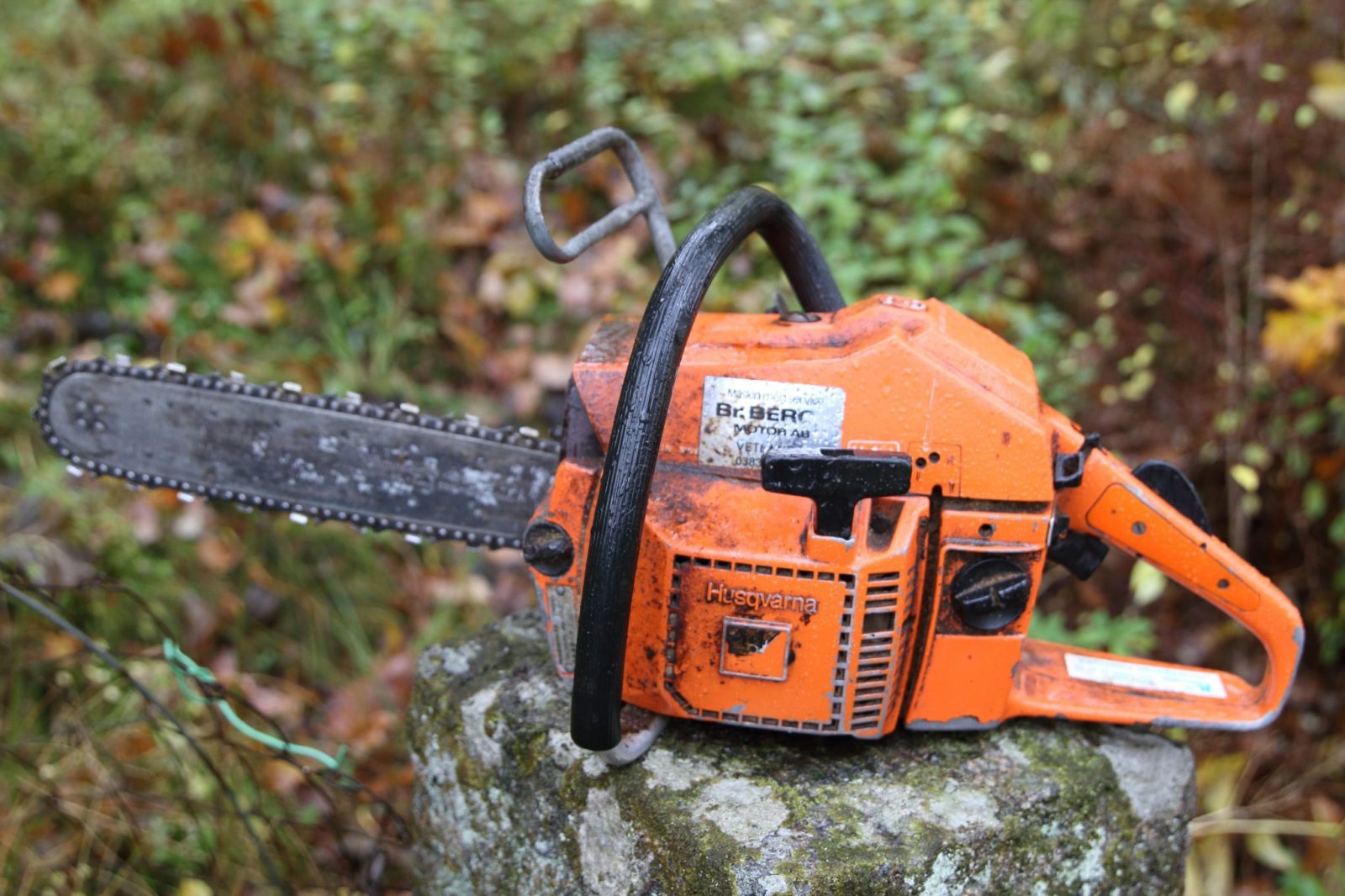 Chainsaw biography - NordicWoodJournal