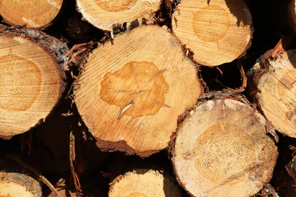 Full steam ahead at the Swedish sawmills - NordicWoodJournal