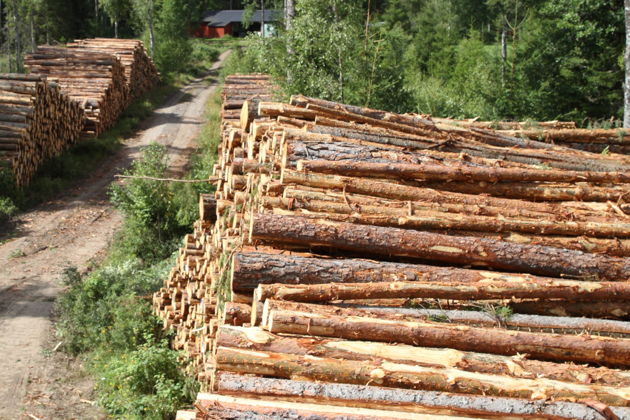 Timber prices vs. lumber prices - NordicWoodJournal