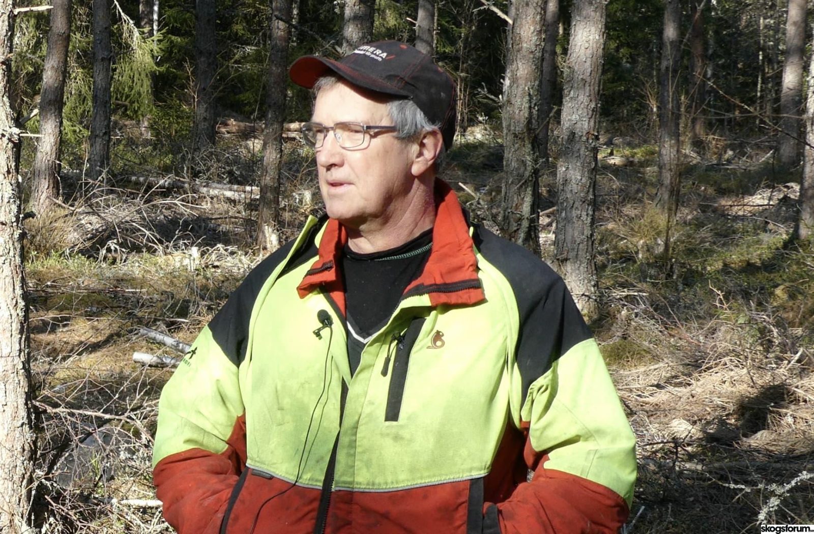 Getting paid to let the forest stand – it´s true, it´s here ...