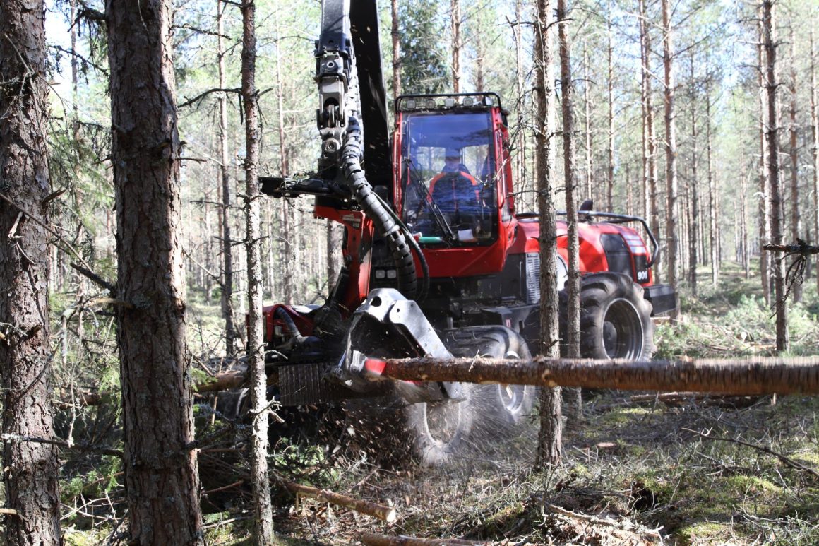Harvester heads – what´s available on the market? - NordicWoodJournal
