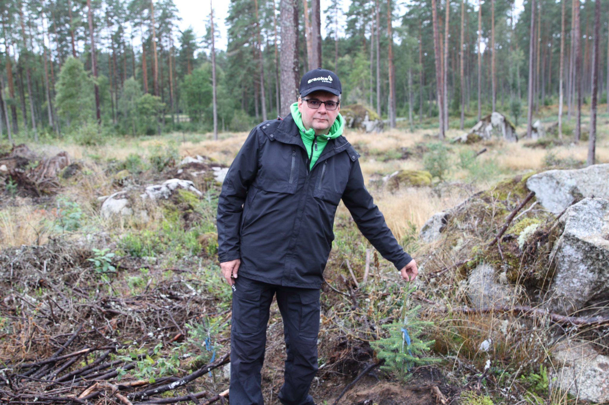 The story of a spruce plant - NordicWoodJournal