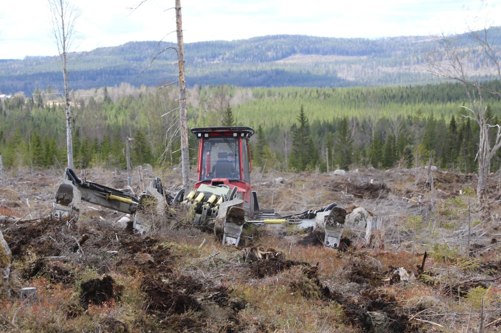 100 years in the forestry business! - NordicWoodJournal