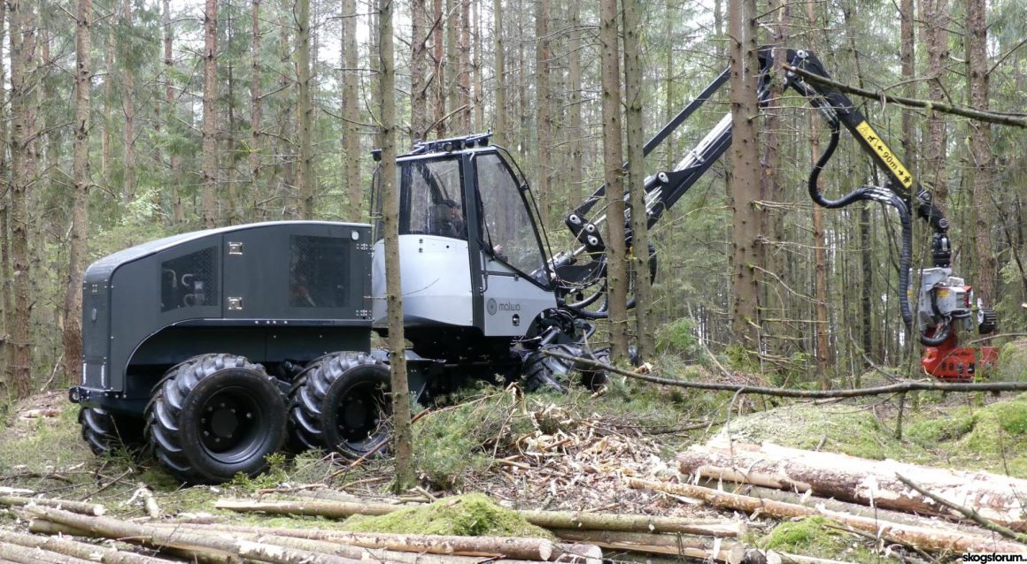 Malwa – it’s electrifying! - NordicWoodJournal