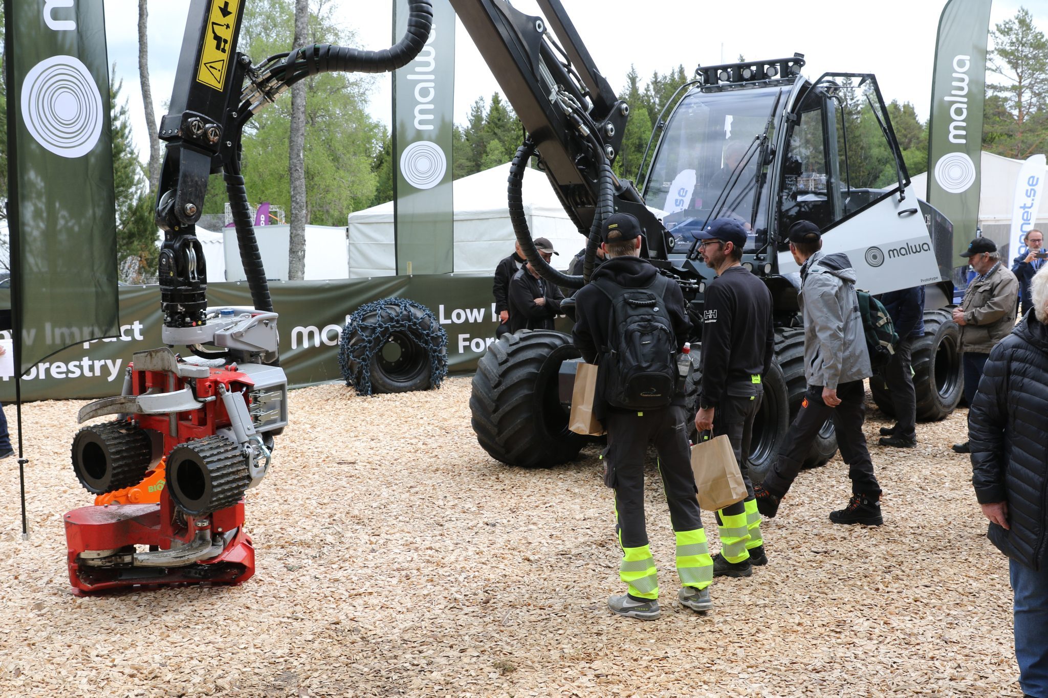 Malwa – it’s electrifying! - NordicWoodJournal