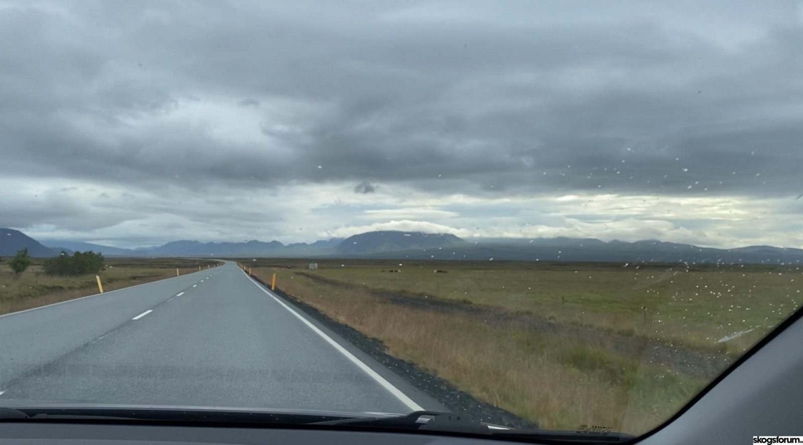 Forestry in Iceland – mainly planting so far - NordicWoodJournal