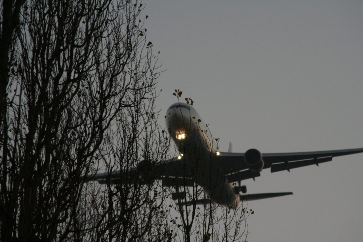 Alder Fuels and Enviva to commercialize sustainable aviation fuel ...