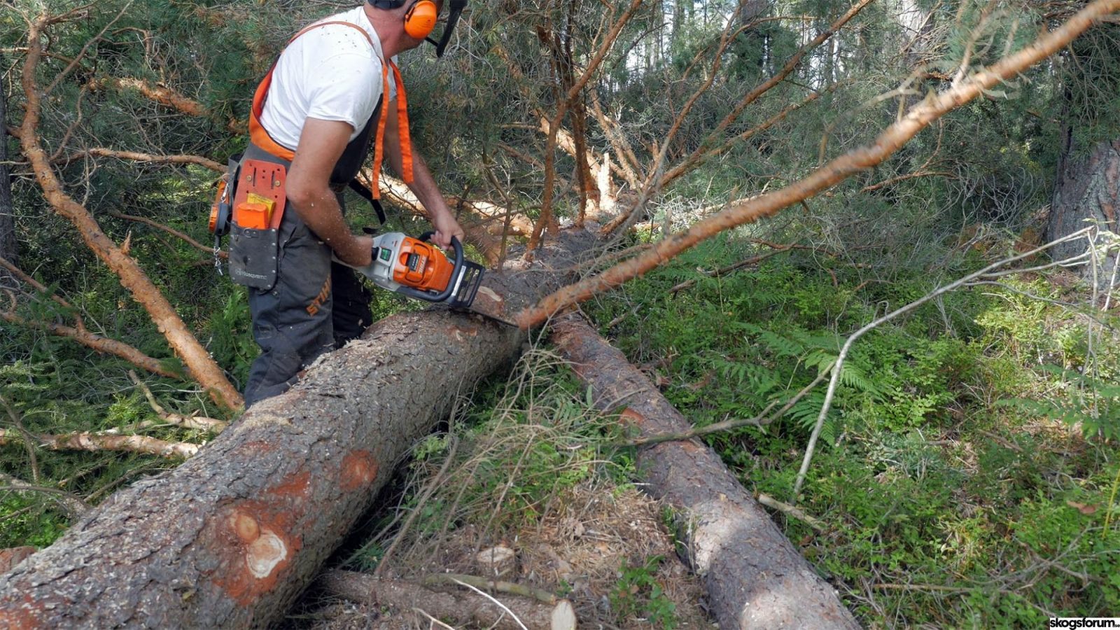 Testing the Stihl MSA 300 C-O battery saw - NordicWoodJournal