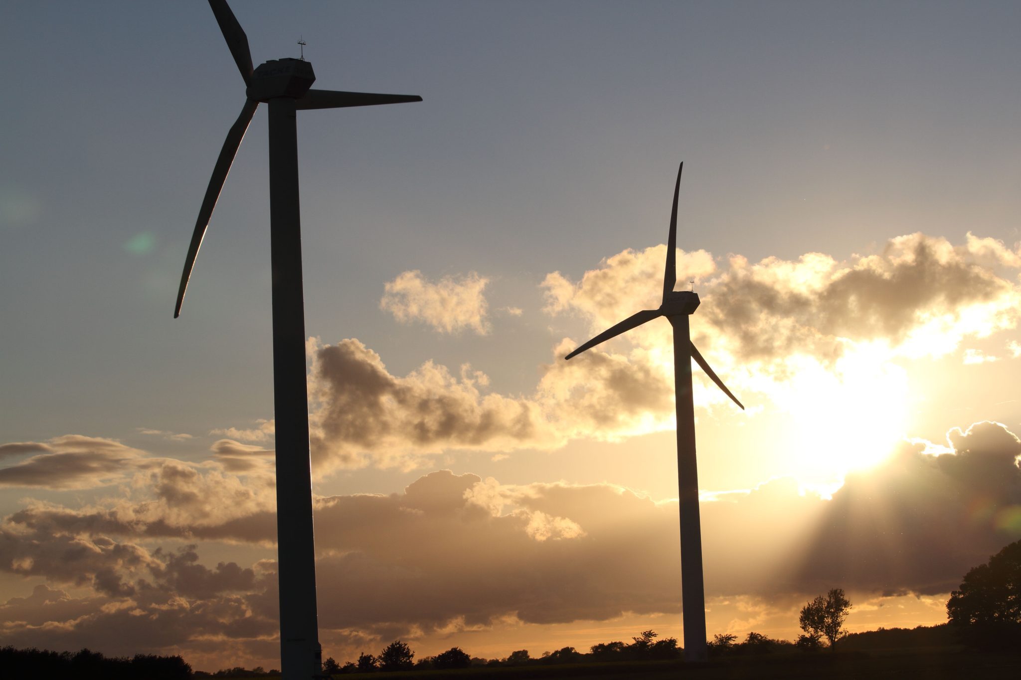 Wind power – The future for forestry? - NordicWoodJournal