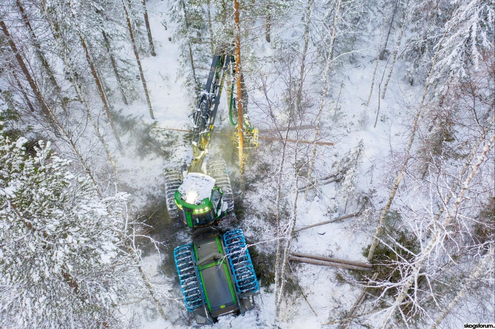 Swedish State Forest decreases felling by 45 percent in North Sweden ...
