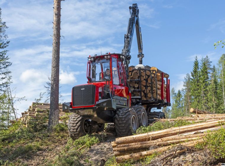 Forests - NordicWoodJournal